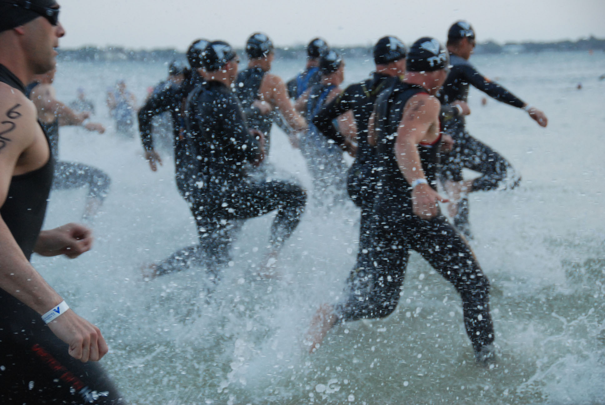 Total Immersion Swimming - Sharks & Minnows Swim School